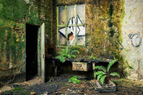 Naturally beautiful - Michael Schwan Photography